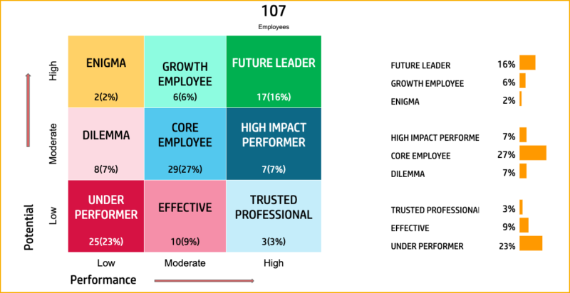 Download 9 Box Grid Talent Management Google Sheet Template