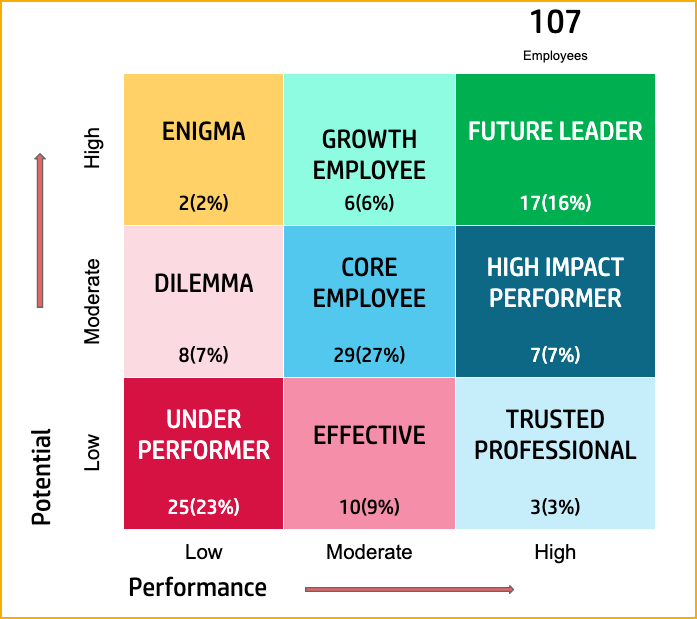 9 Box Grid Talent Management Google Sheet Template