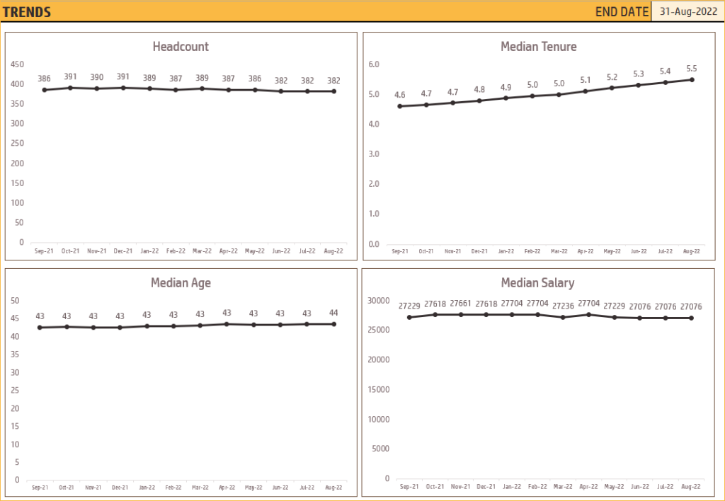 Download HR Administration Dashboard Google Sheet Template