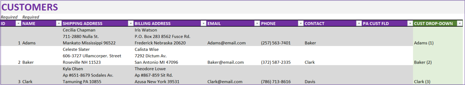 Invoice Manager Pro Excel Template for Small Businesses