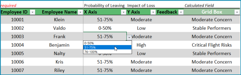 Flight Risk Management Excel Template - INDZARA
